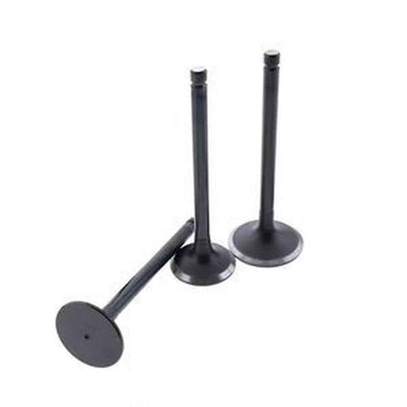 Complete Exhaust Valve Set (1 Set) for Yanmar Engine 3D84-3 ...
