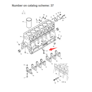 Oil Spray Nozzle Ass'y 65.01601-6003C 6501601-6003C 65-01601-6003C for ...